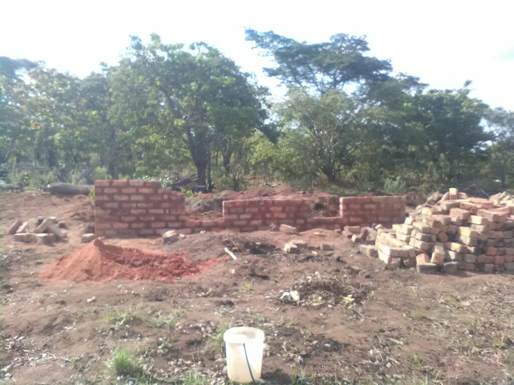 Building A House Without Cement – Kumushi